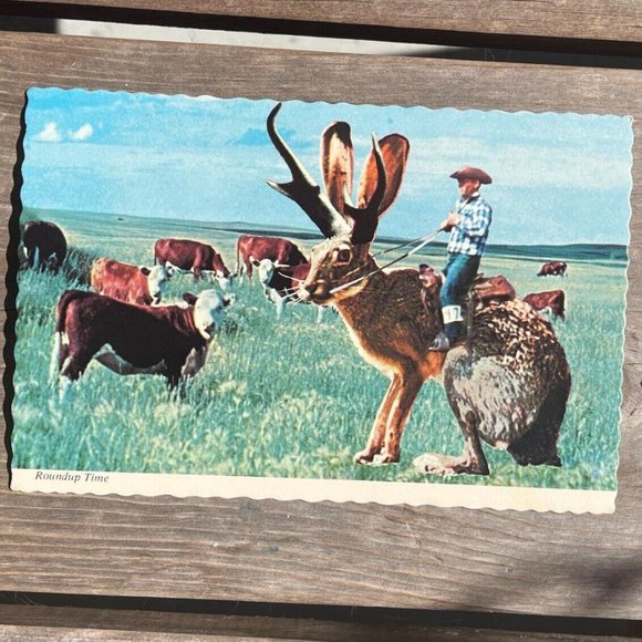 Art | Vintage Postcard Jackalope Roundup Time Cowboy Cow Ranch Unposted ...